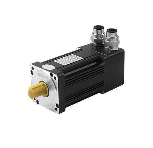 Explosion-proof AC servo motor Factory & Supplier - Wheatstone
