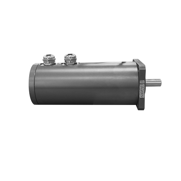 UnderWater Motor Submerged 1 Meter | WHEATSTONE Waterproof Motor