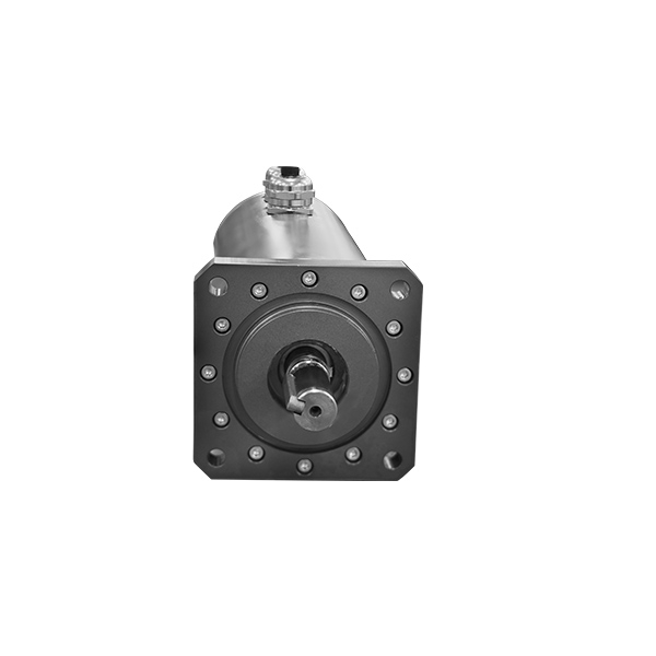 UnderWater Motor Submerged 1 Meter | WHEATSTONE Waterproof Motor